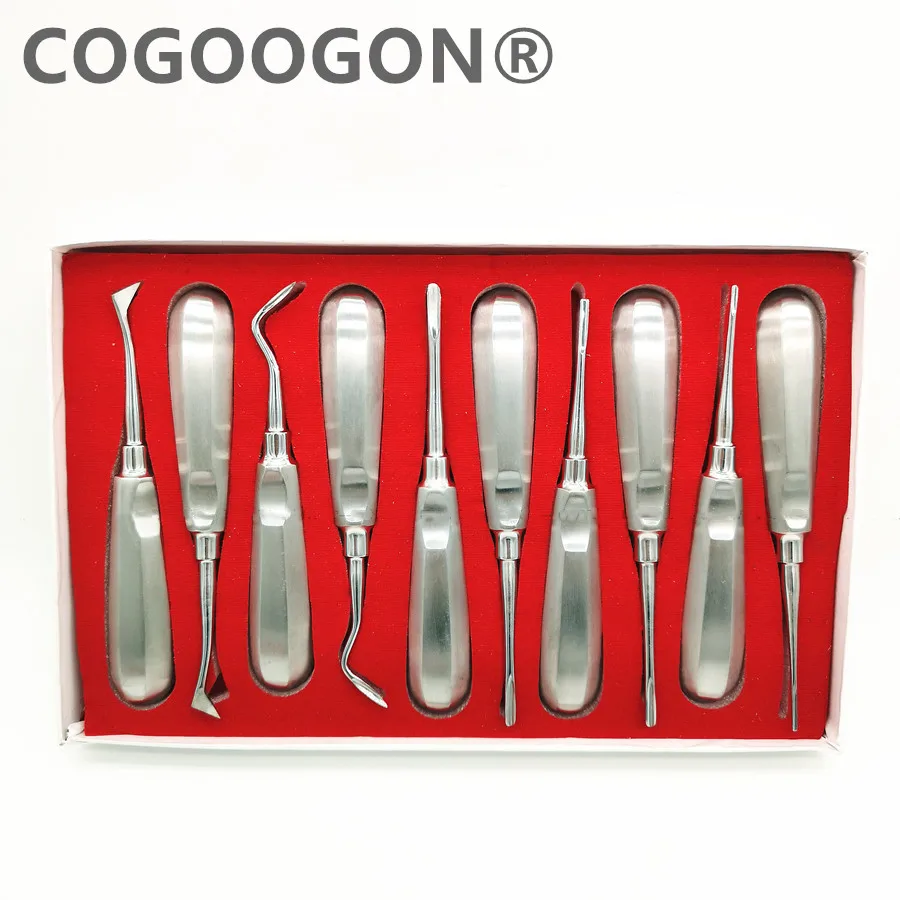 10Pcs Stainless Steel Dental Orthodontic Root Elevator Head Curved Pen ...