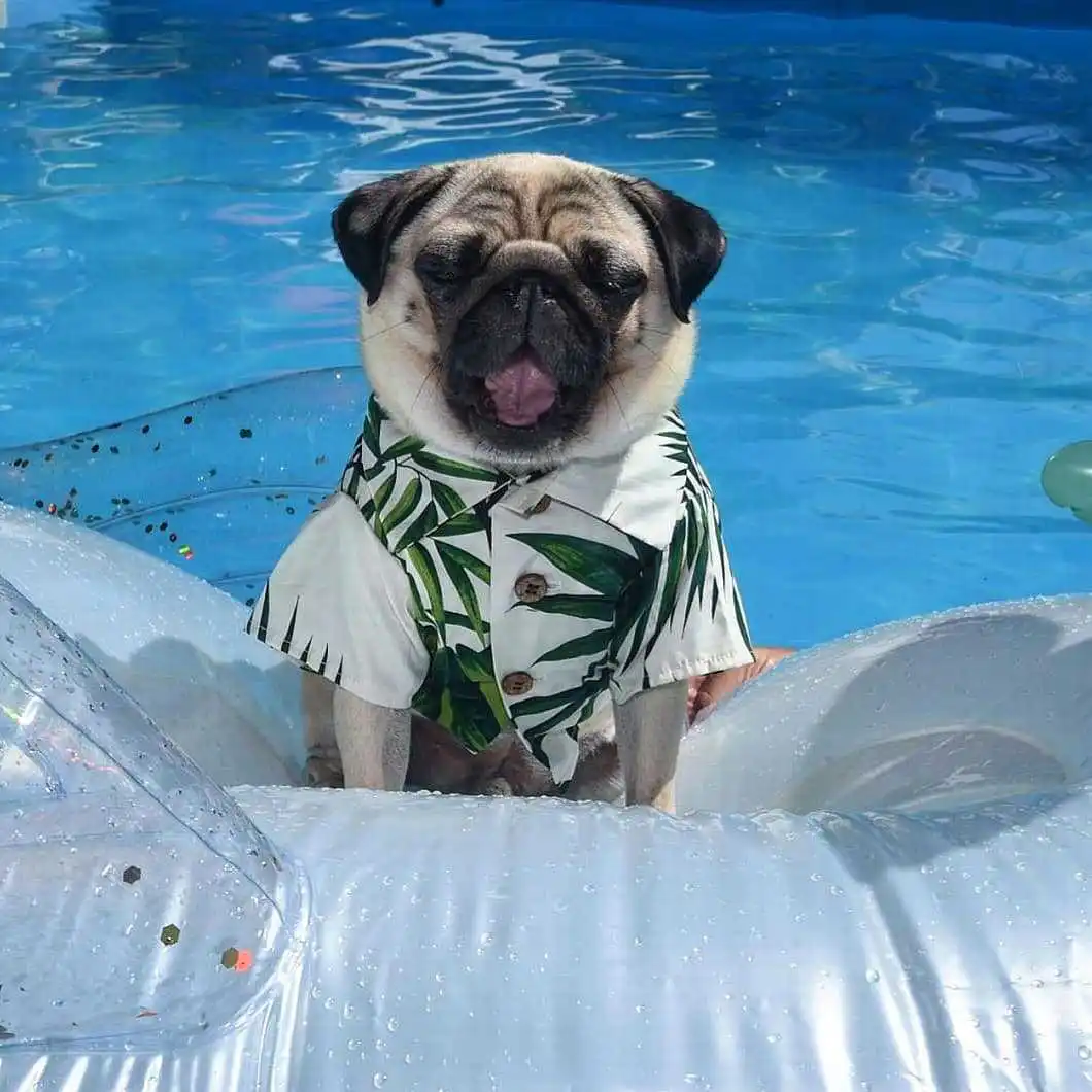 DogMEGA Hawaiian Shirt for Dog | Dog Summer Clothes – DogMega.Com
