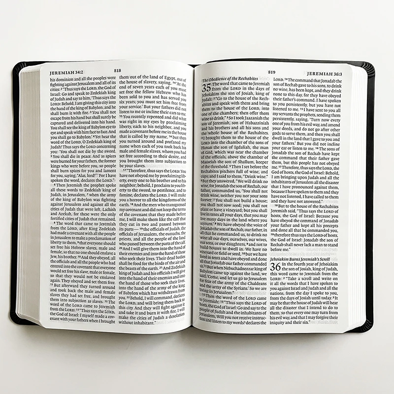 The Holy Bible English Standard Version (ESV) The Large Print Edition ...
