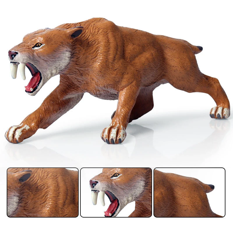 Saber Tooth Tiger Size