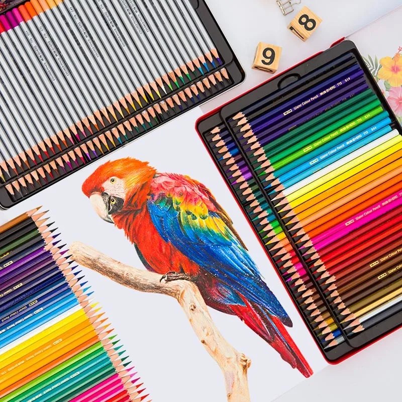 Colored Pencils Lapis De Cor Artist Painting Watercolor Pencils Lapis ...