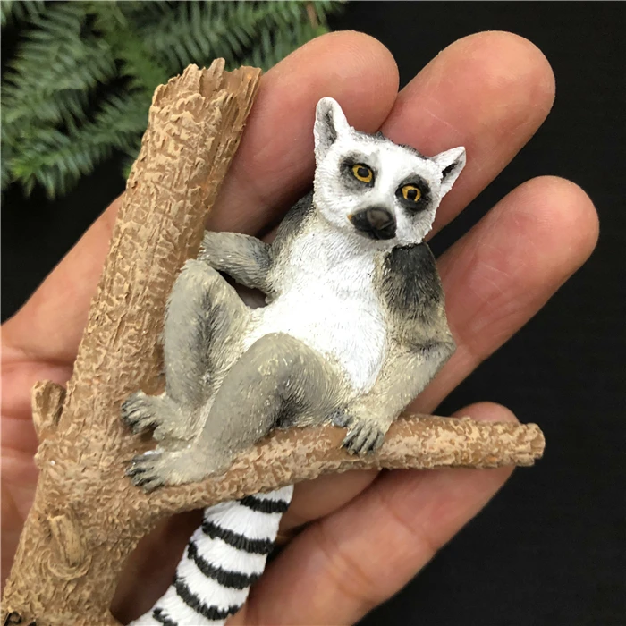 Halka Kuyruklu Lemur