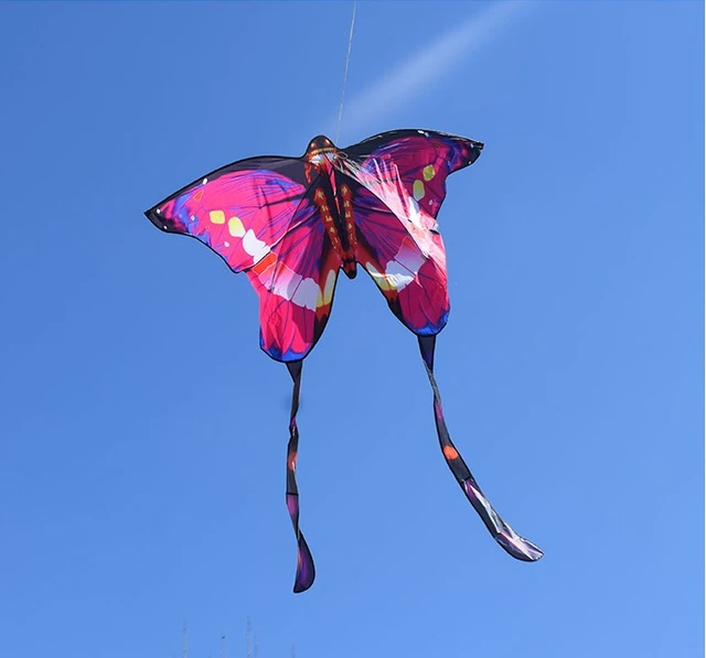 Chinese Butterfly Kites