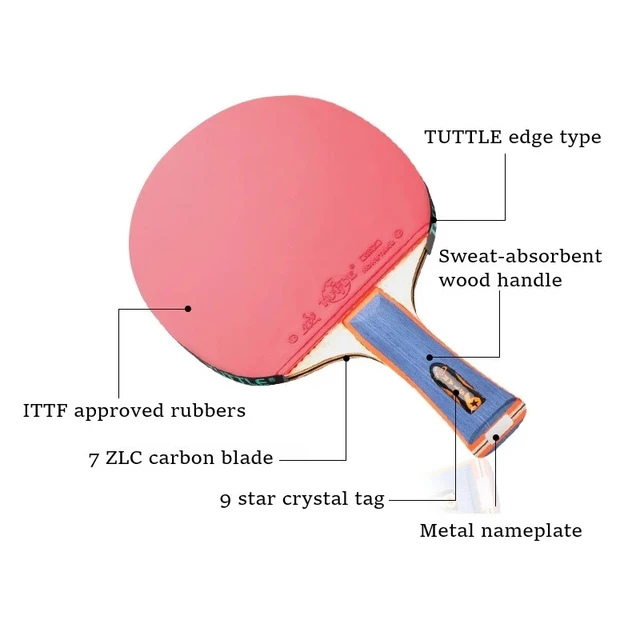 Anatomy Of A Ping Pong Paddle