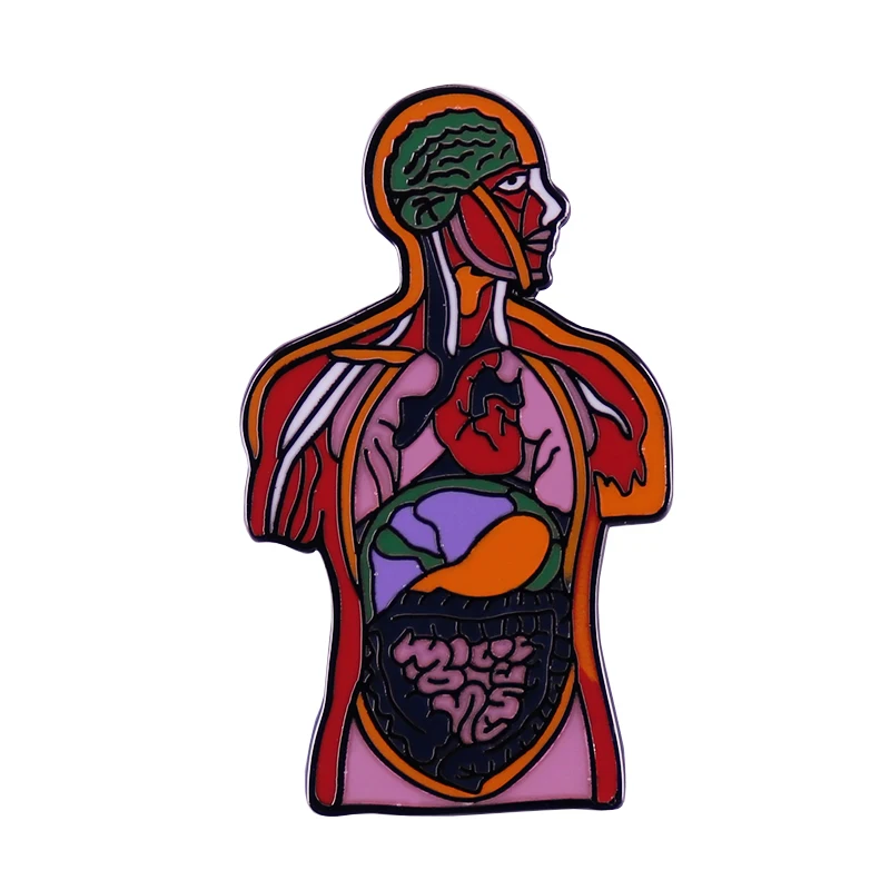 Human Body Anatomy Science Lapel Pin