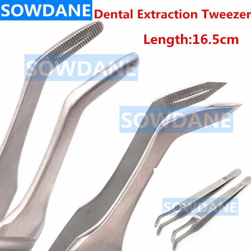 1-piece-Dental-Extraction-Tweezer-Pointed-End-Root-Splinter-Forcep ...