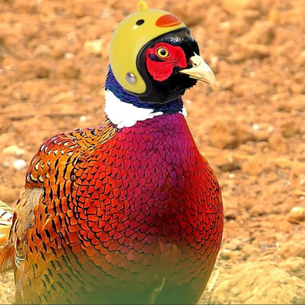 🔥 2019 Nova Inovação Moda Frango Capacete Divertido Padrão Pequeno ...