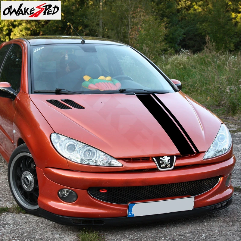 Peugeot 206 Modified Engine