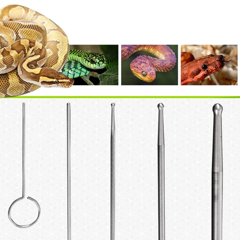 Voremantic Stomach