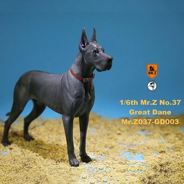 Miniature Great Dane