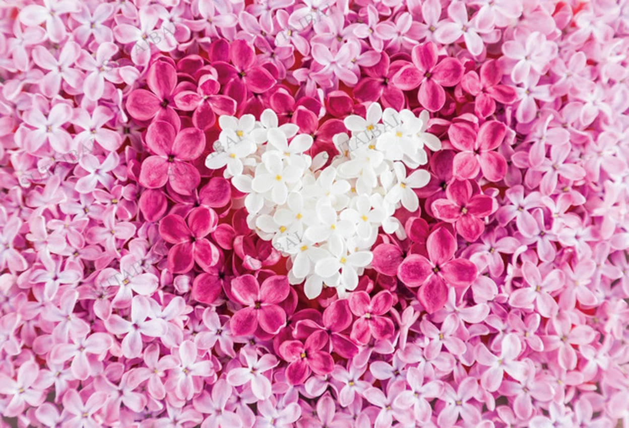 Pink Hearts And Flowers Background