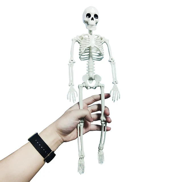 Rearview Mirror Pendant Human 40cm Skeleton Model Car Decoration ...