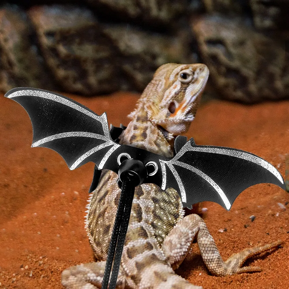 Bearded Dragon Harness | ppgbbe.intranet.biologia.ufrj.br
