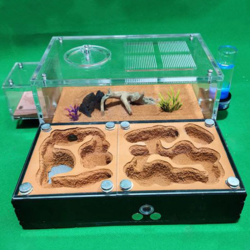 Concrete Ant Farm House Super Large Yellow Mud Ant Nest Gypsum Pet ...