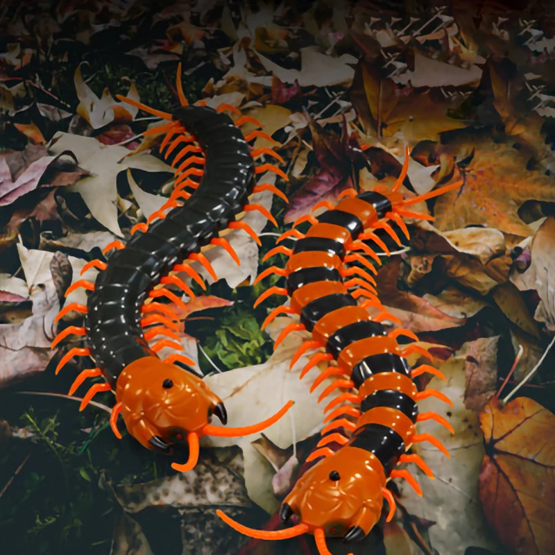 Rc-Centipede-toy-car-Remote-Control-electric-robot-Animal-insect-USB ...