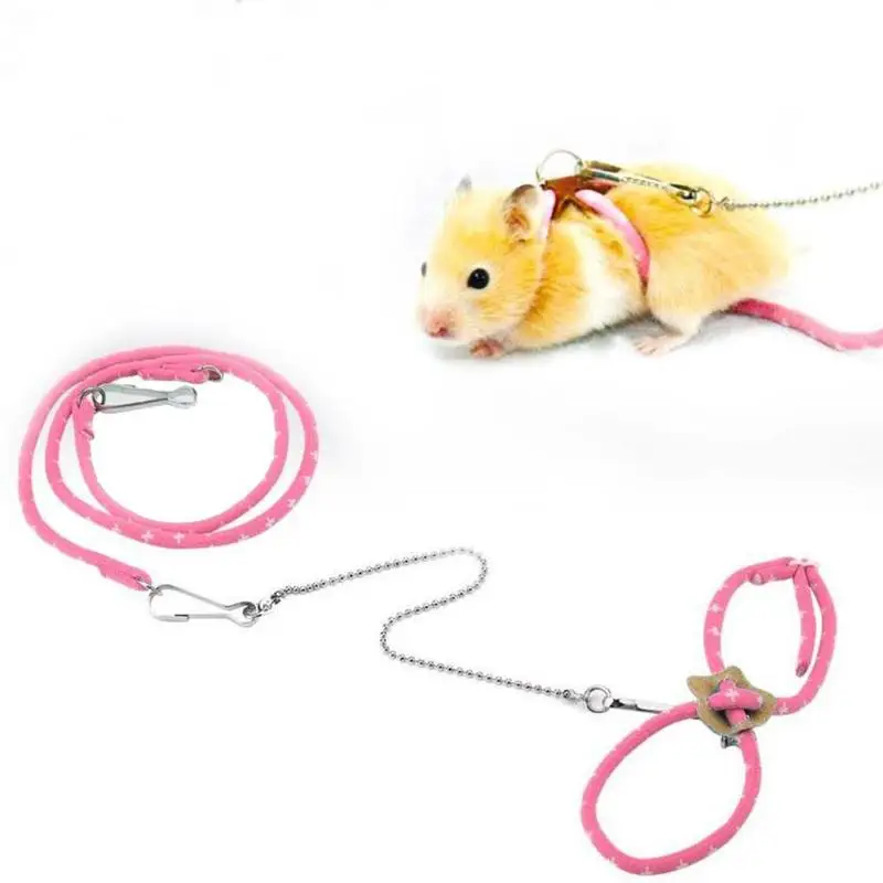 Hamster Leashes And Collars