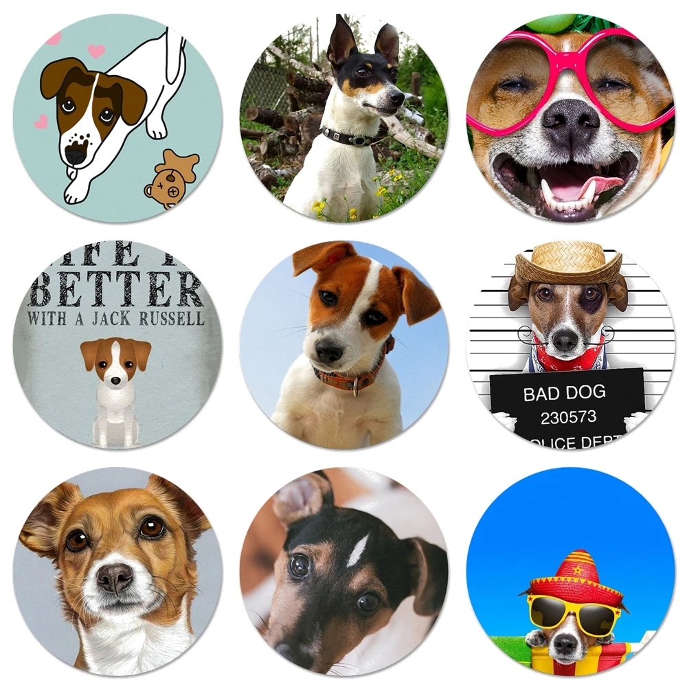 Are Dogs Allowed At Jack Russell Brewery