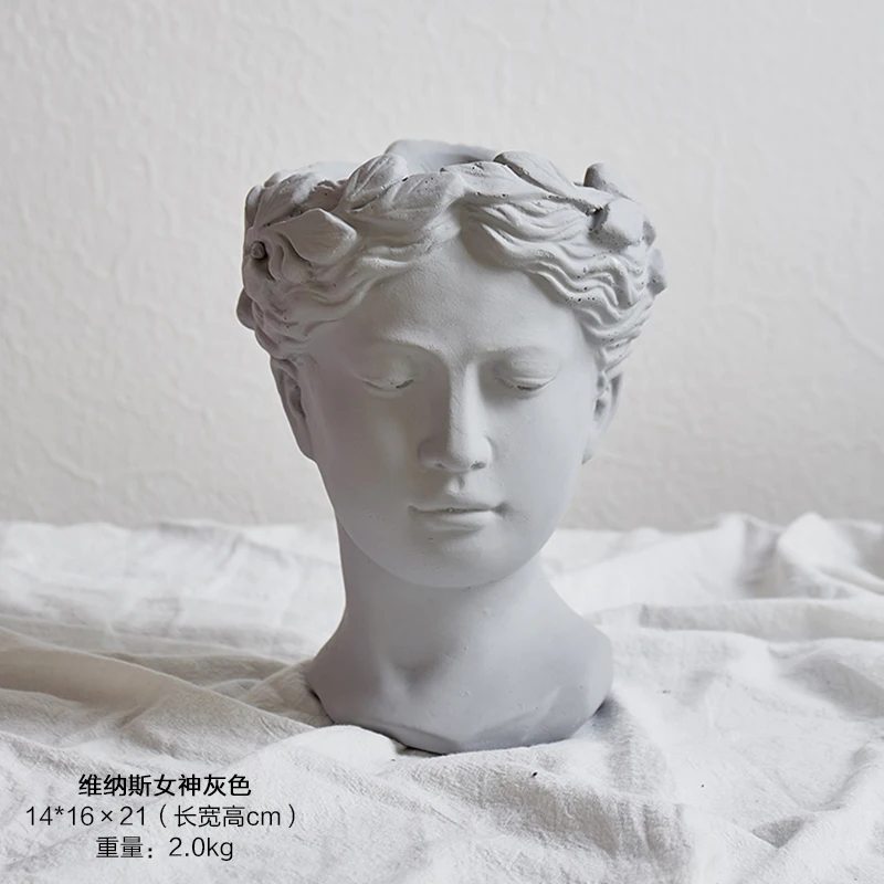 Venus Goddess Statue Face