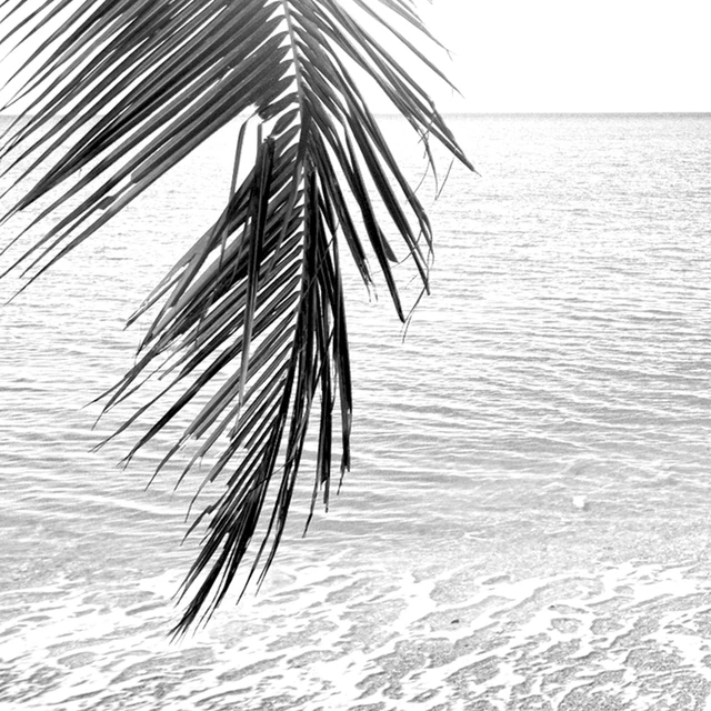 Black And White Beach Landscape