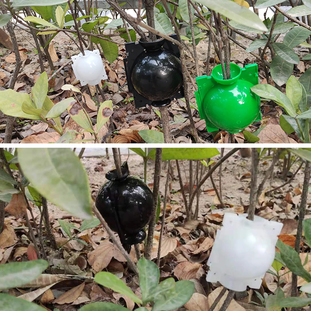 Jardinière,Reproduction Box de Culture Cas Plante Racine Box de Culture ...