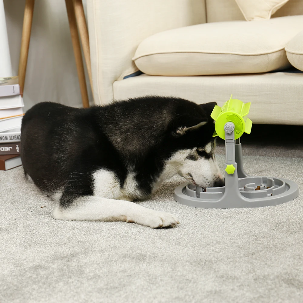 How Do You Stimulate A Smart Dog