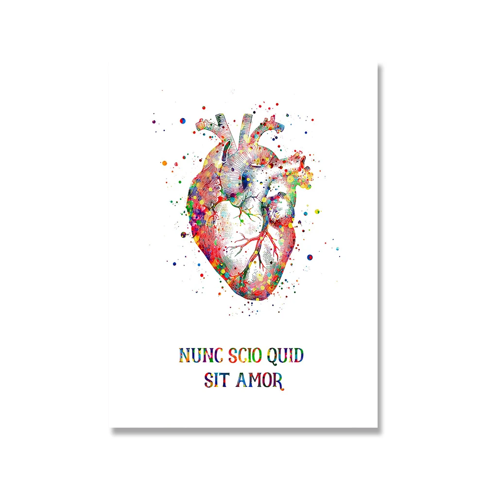 Latin Vintage Human Anatomy Poster