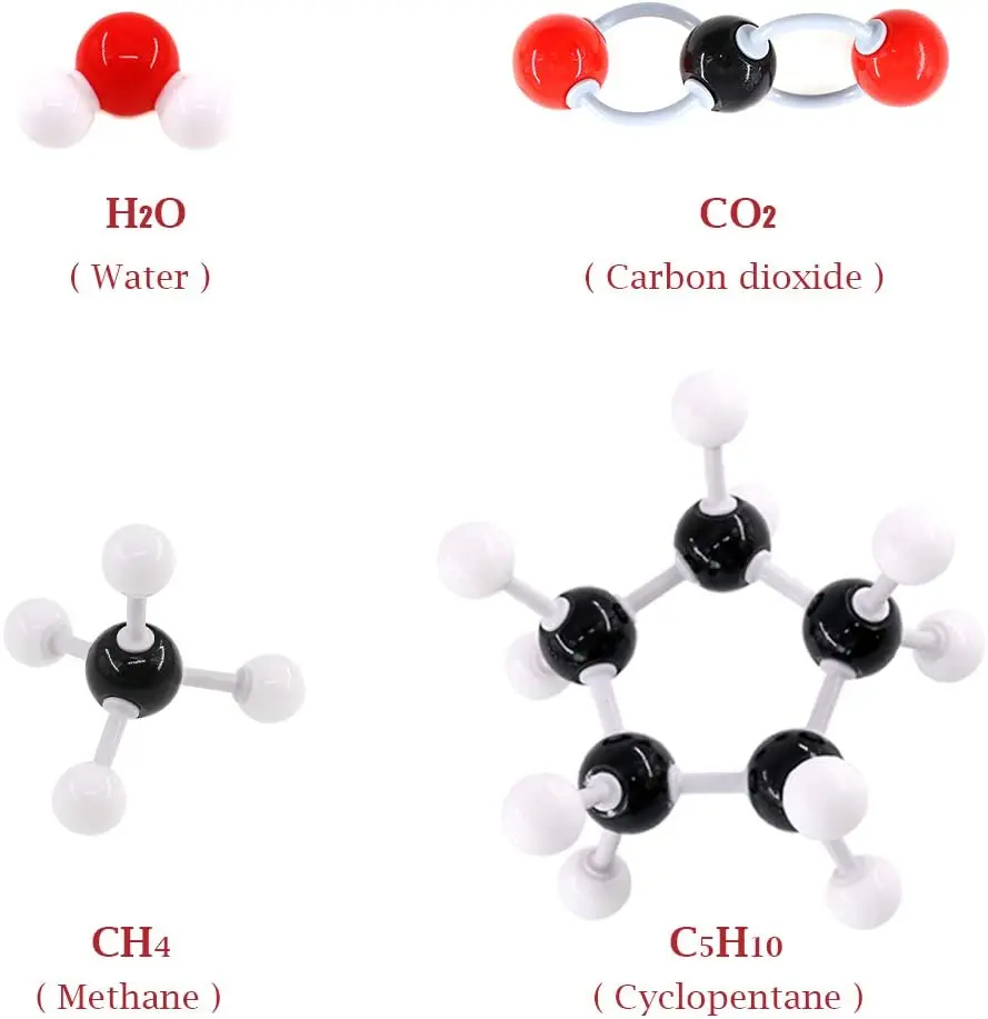 Co2 Molecule Model