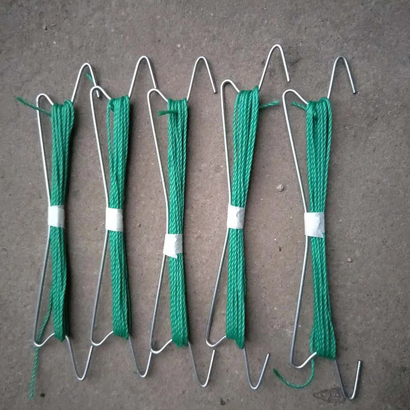 Greenhouse steel wire hanging hooks Fruit Tomato Garden Vegetable Grape ...