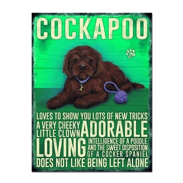 Do Cockapoos Like To Be Left Alone