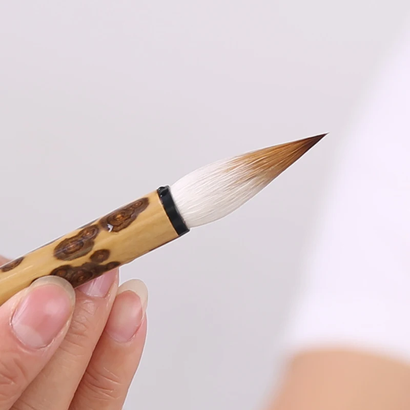 Chinese Brush Pen Multiple Hair Calligraphy Practice Writing Brush ...