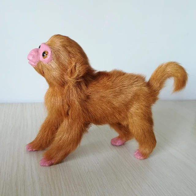 Real Pink Monkeys