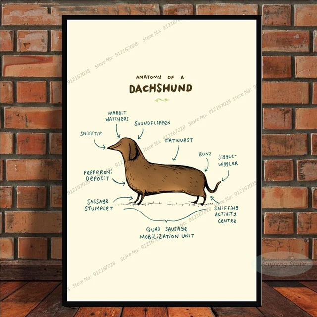Dog Breeds Poster High Resolution