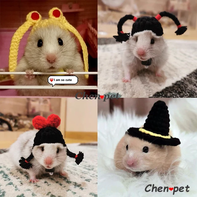 Funny Cute Hamsters