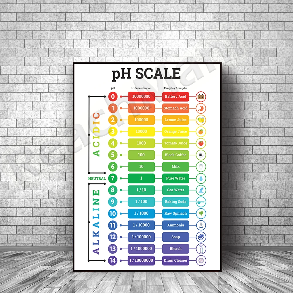 Ph Scale Science