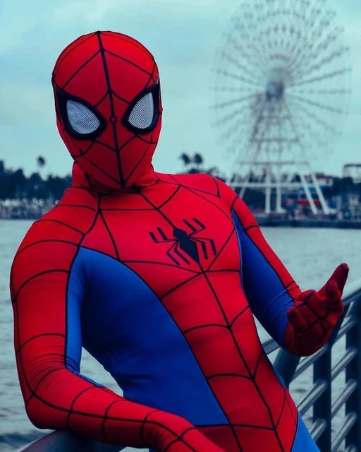 Spectacular Spiderman Costume