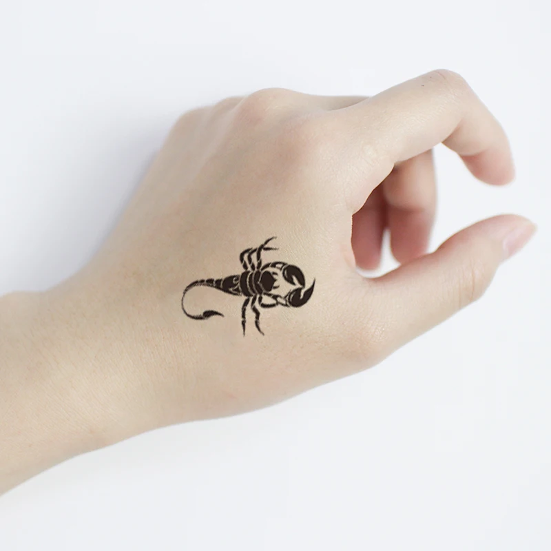 Simple Scorpion Tattoos For Girls