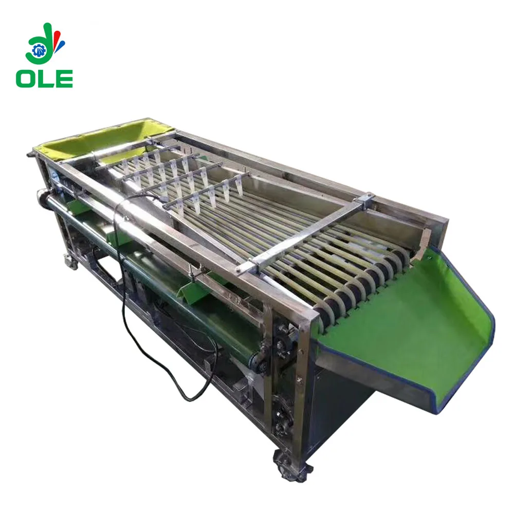 Small-Fruits-Blueberry-Sorting-Machine-Factory-Customize-Blueberry ...