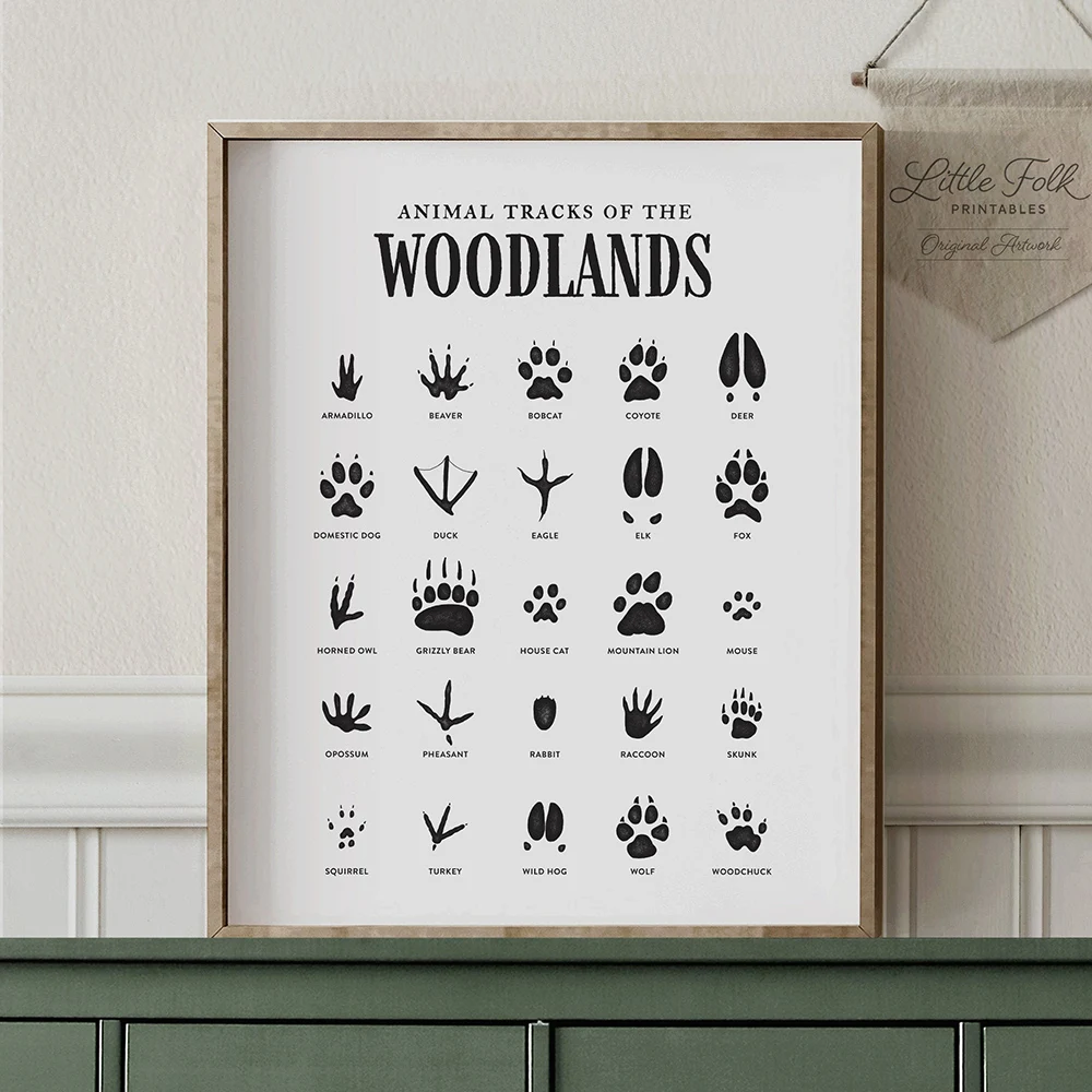 Woodland Animal Tracks Posters and Prints Canvas Painting Art Animal ...