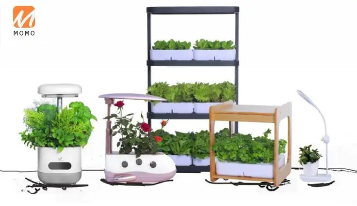 Indoor Smart Garden Kit – Family Hydroponics System – Assorted Produce