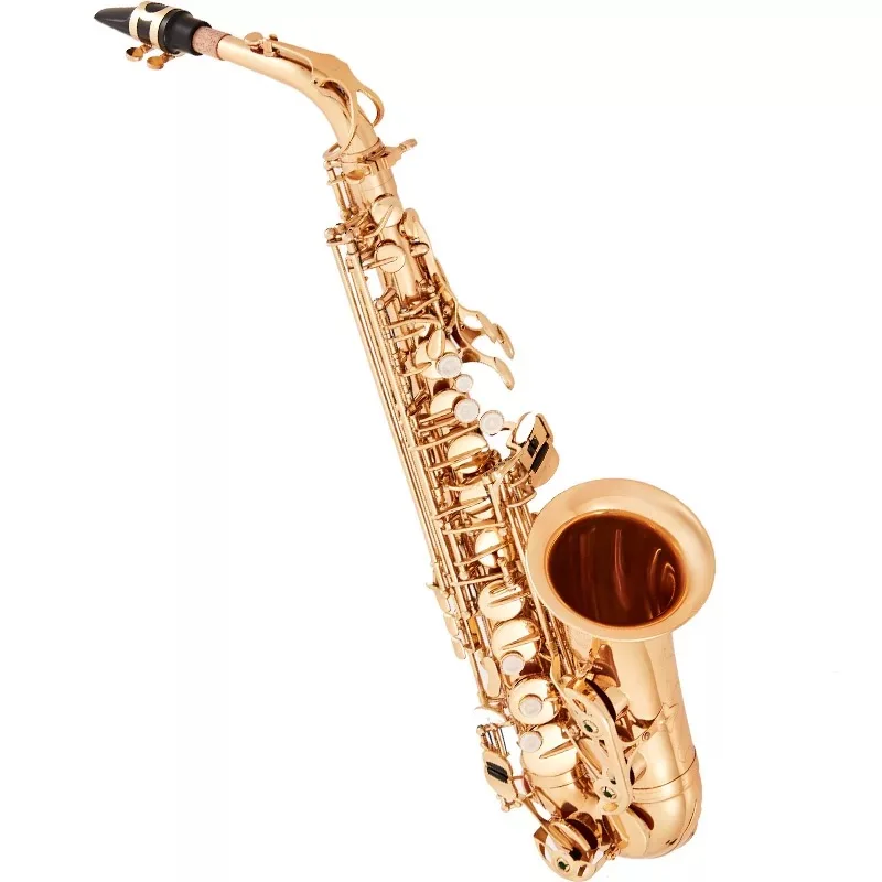Saxophone E flat Treble Playing Instruments in Grade Examination ...