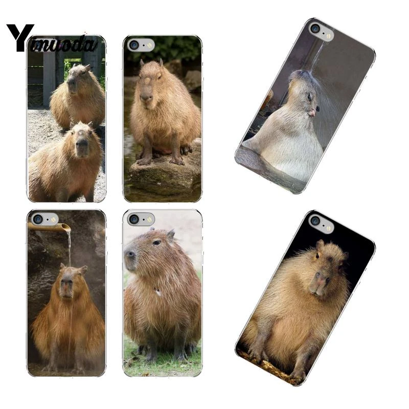 Animal Funny Capybara Bling Cute Phone Case for iphone 13 12 8 7 6 6S ...