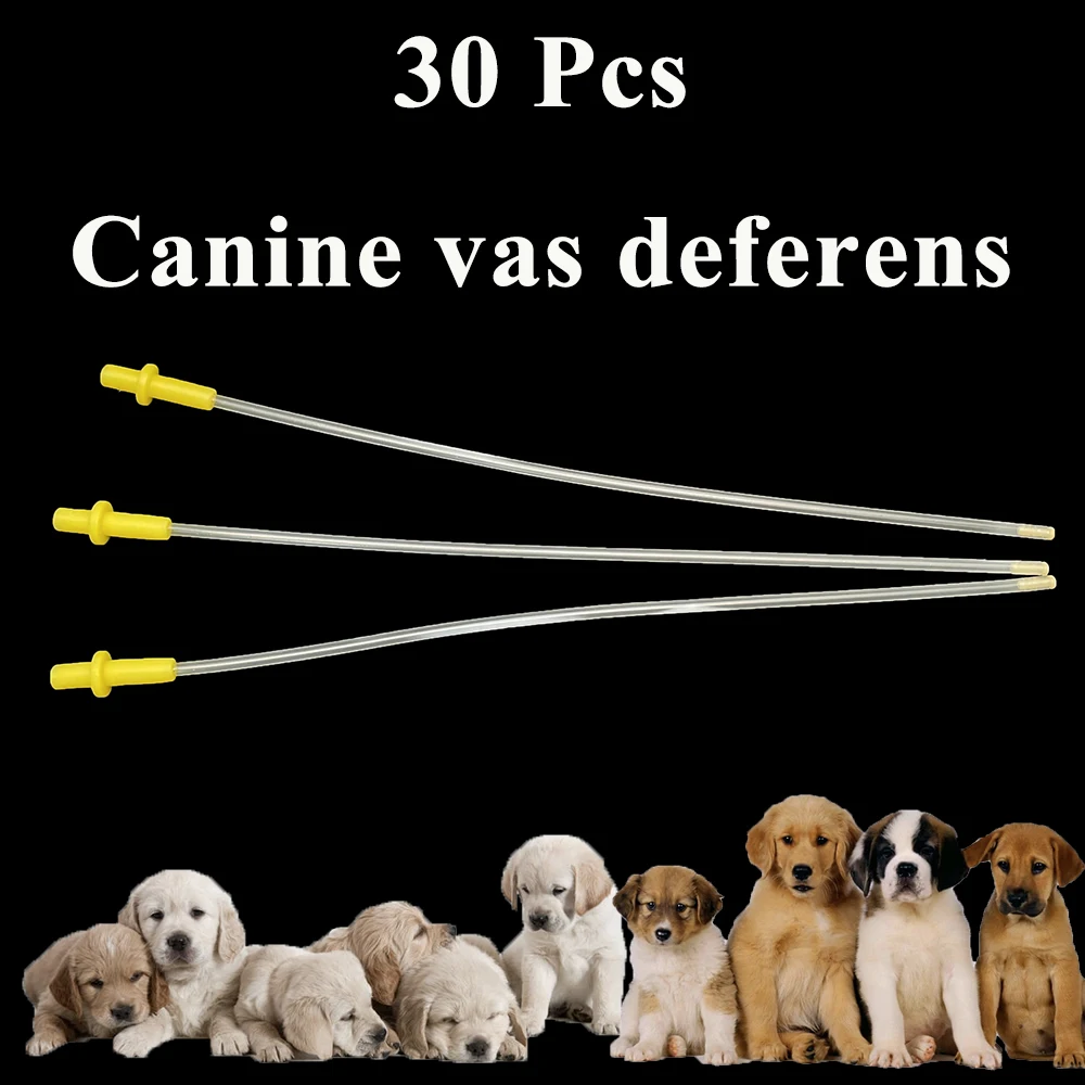 30PCS Canine Clinic Disposable Dog Artificial Insemination Tube ...