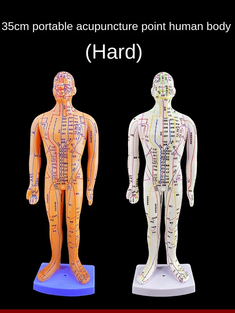 Color-portable-acupuncture-human-point-model-man-needle-practice-skin ...