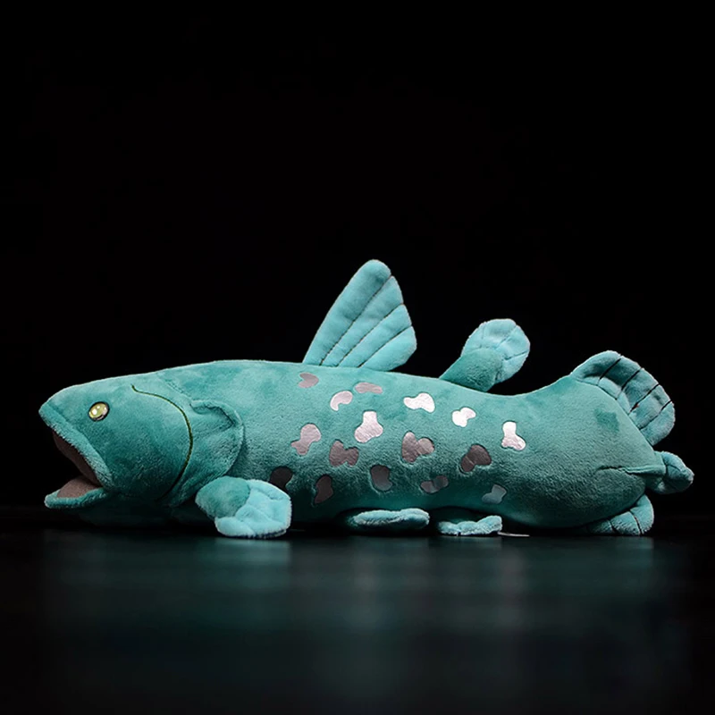 Coelacanth Collection Fish Kids Plush Toys Simulation Lovely Baby Gifts ...