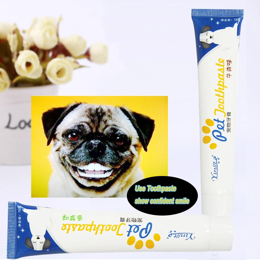 What Can I Use For Dog Toothpaste