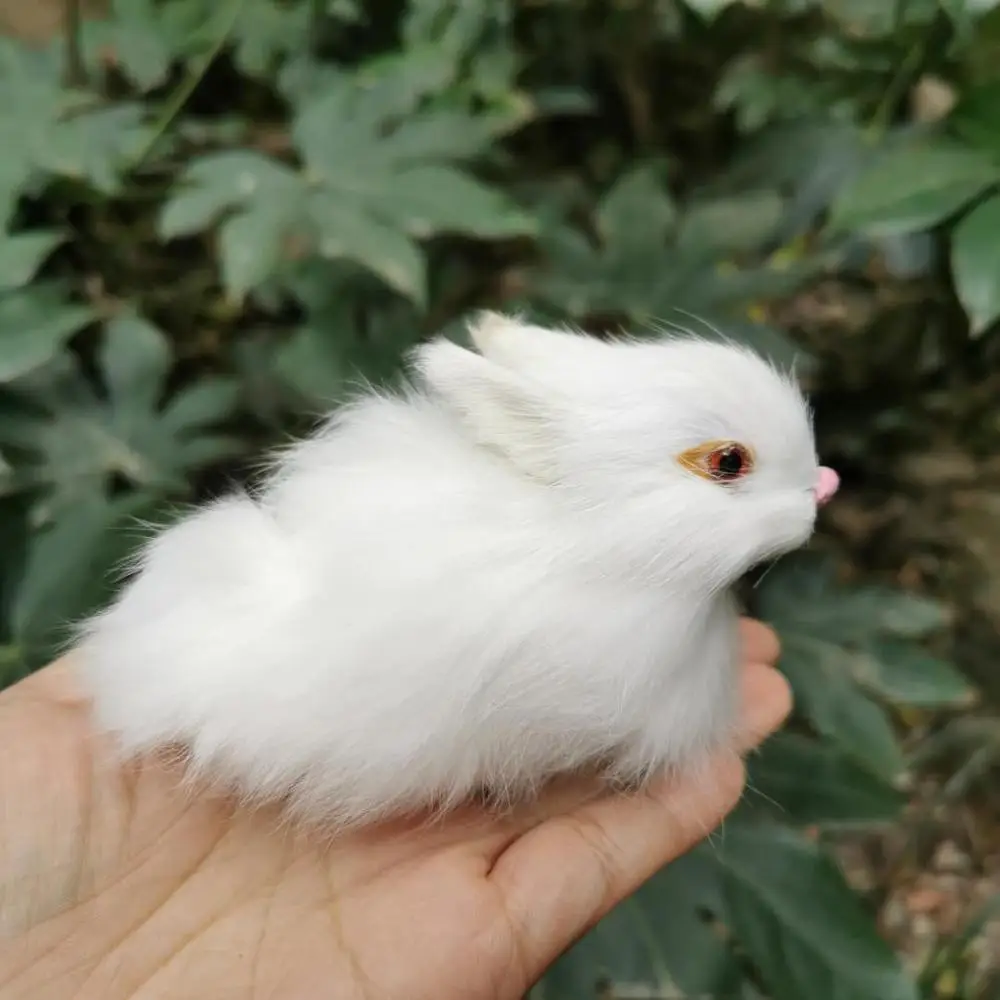 White Baby Bunny Fluffy