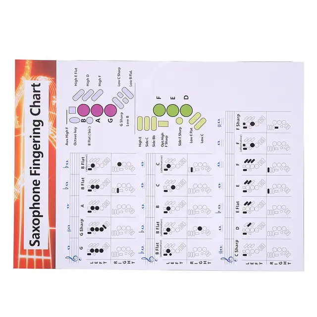 Beginner Flute Teaching Aid 4pcs Coated Paper Flute Chord Chart ...