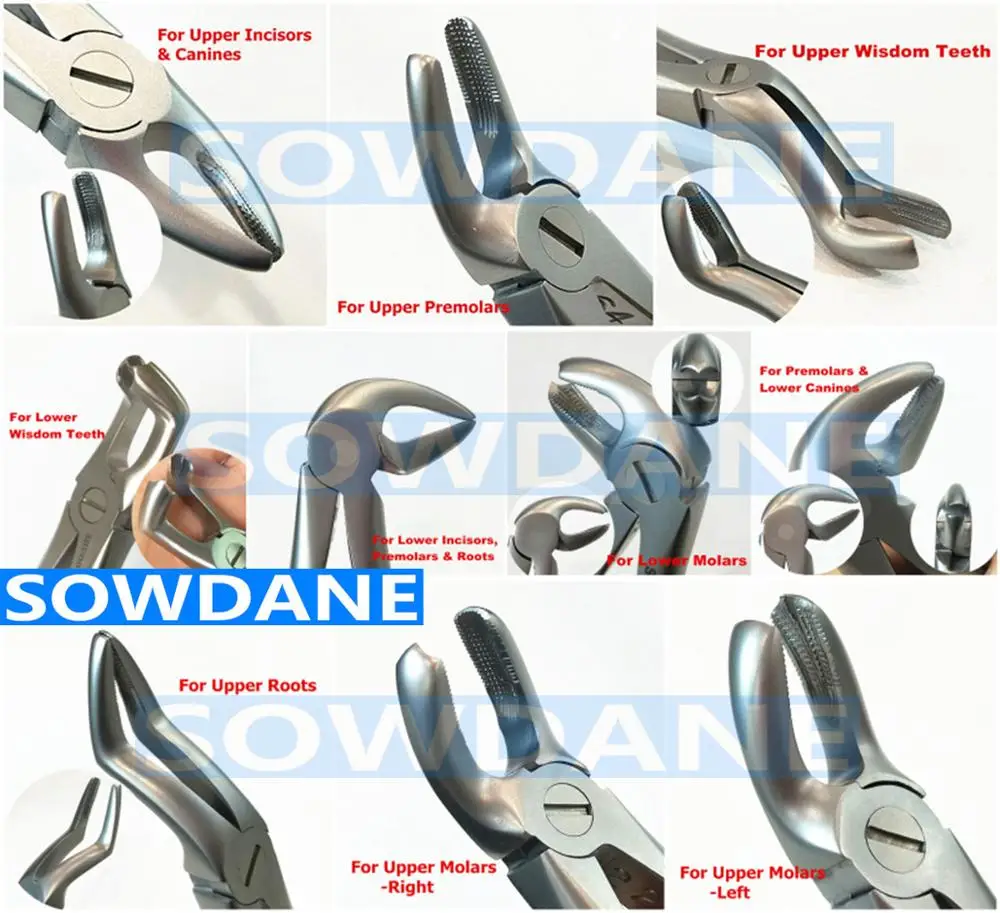 High-Quality-Dental-Adult-Tooth-Extraction-Plier-Forcep-Teeth ...