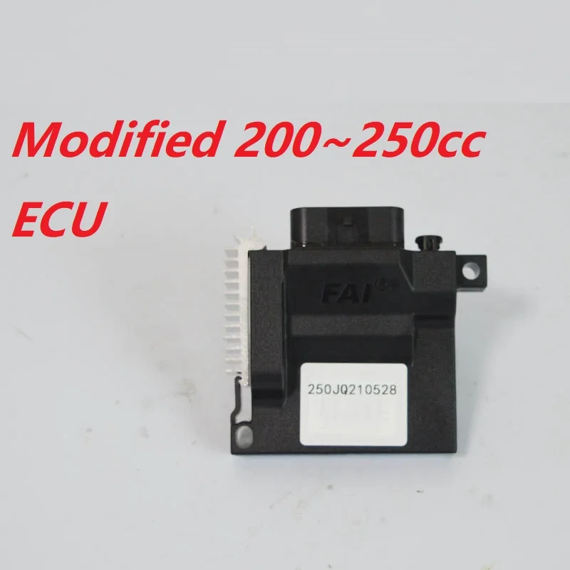 modified motorcycle fuel injection FAI 200cc 250cc EFI ECU controller ...