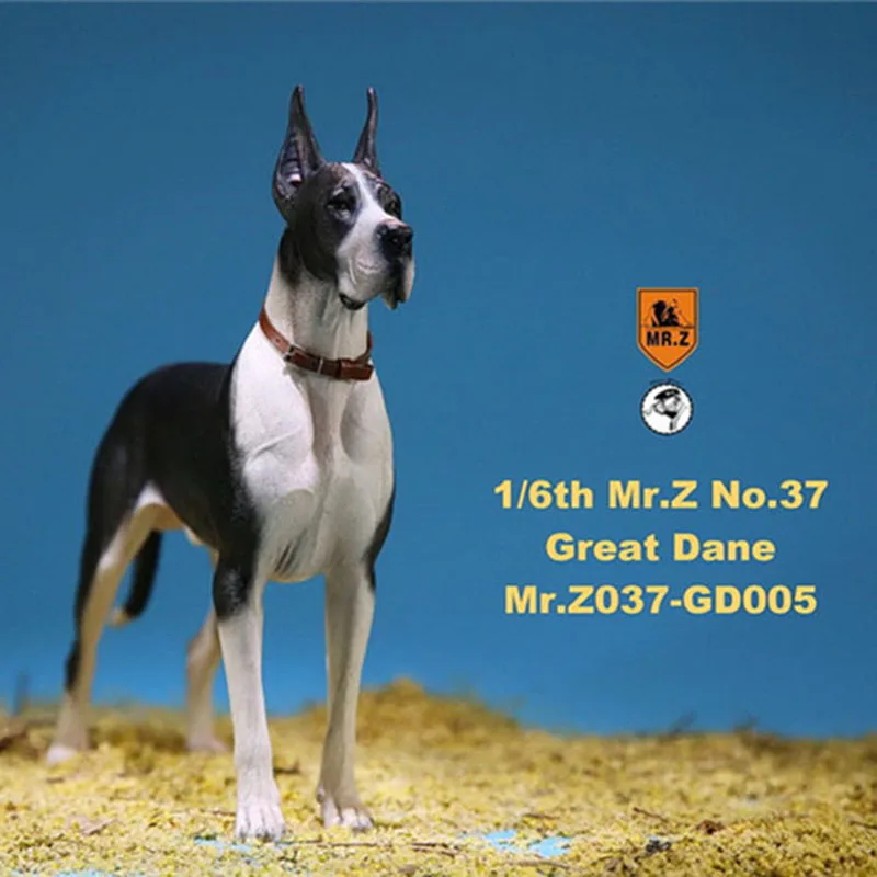 Miniature Great Dane